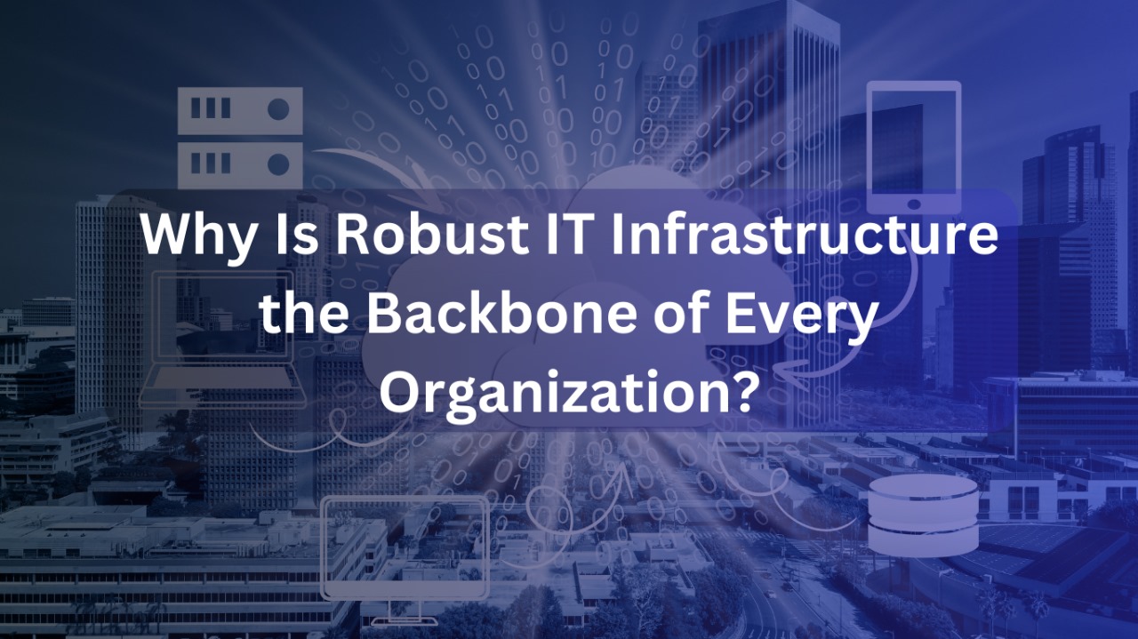 Why Is Robust IT Infrastructure The Backbone Of Every Organization ...